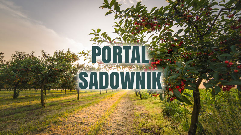 Portal Sadowniczy - Sadownictwo w Polsce i na Świecie